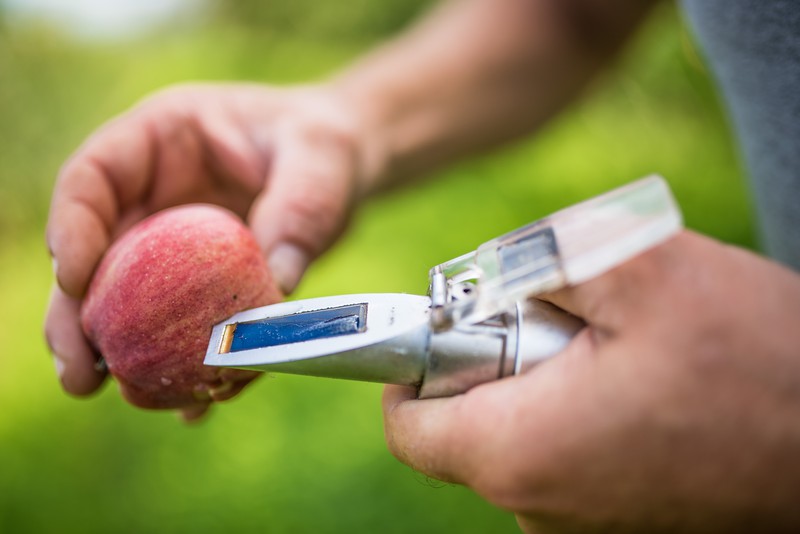 Sortiment | Bodan GmbH