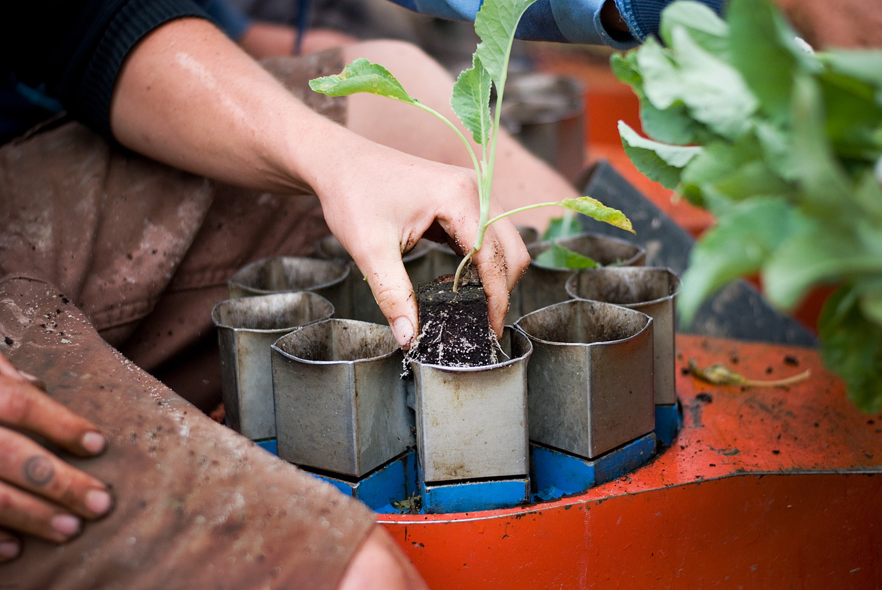 Zukunftsprojekte | Bodan GmbH