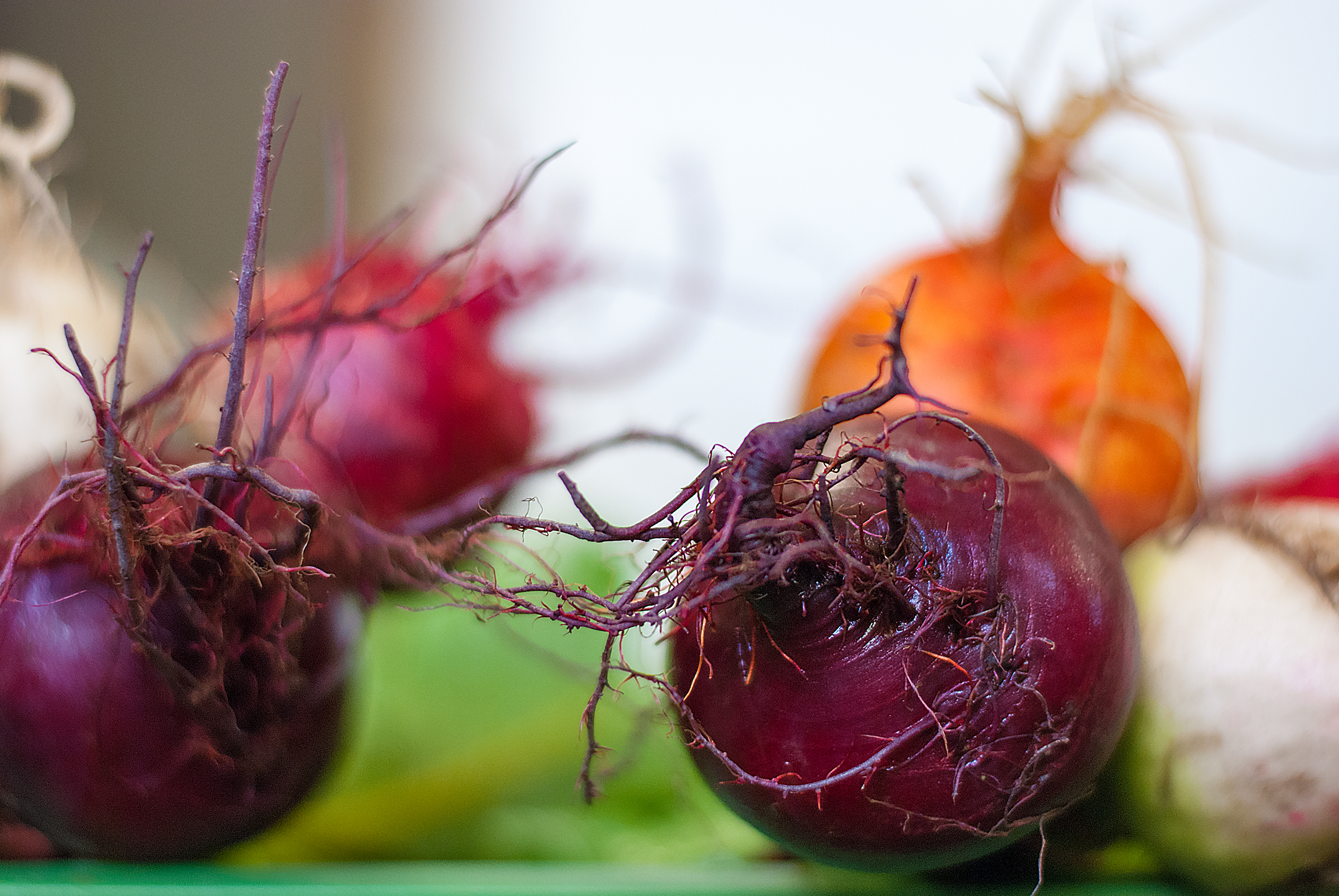 Echt alte Sorten bei BODAN | Bodan GmbH